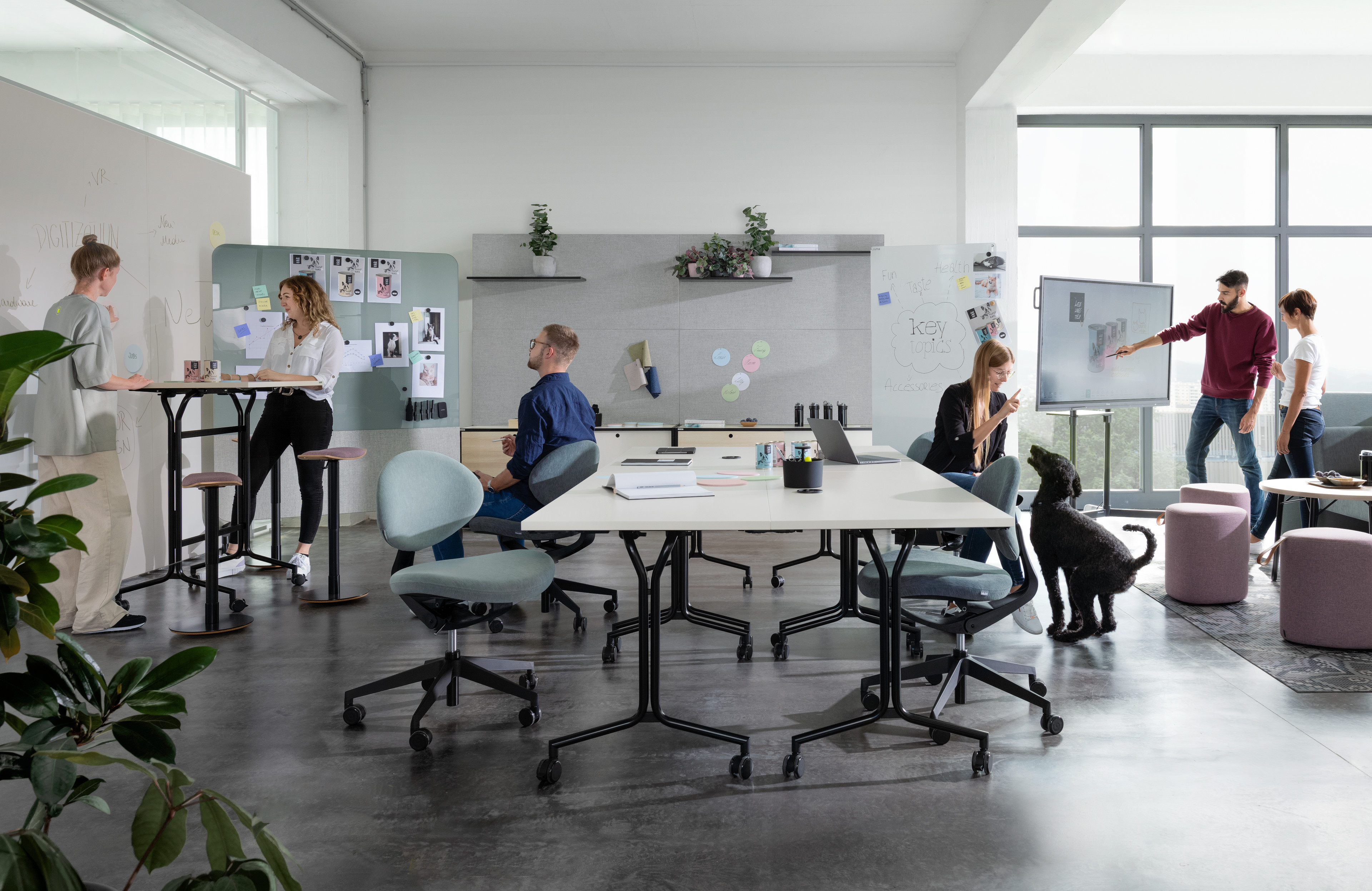 spyn - Wiesner-Hager